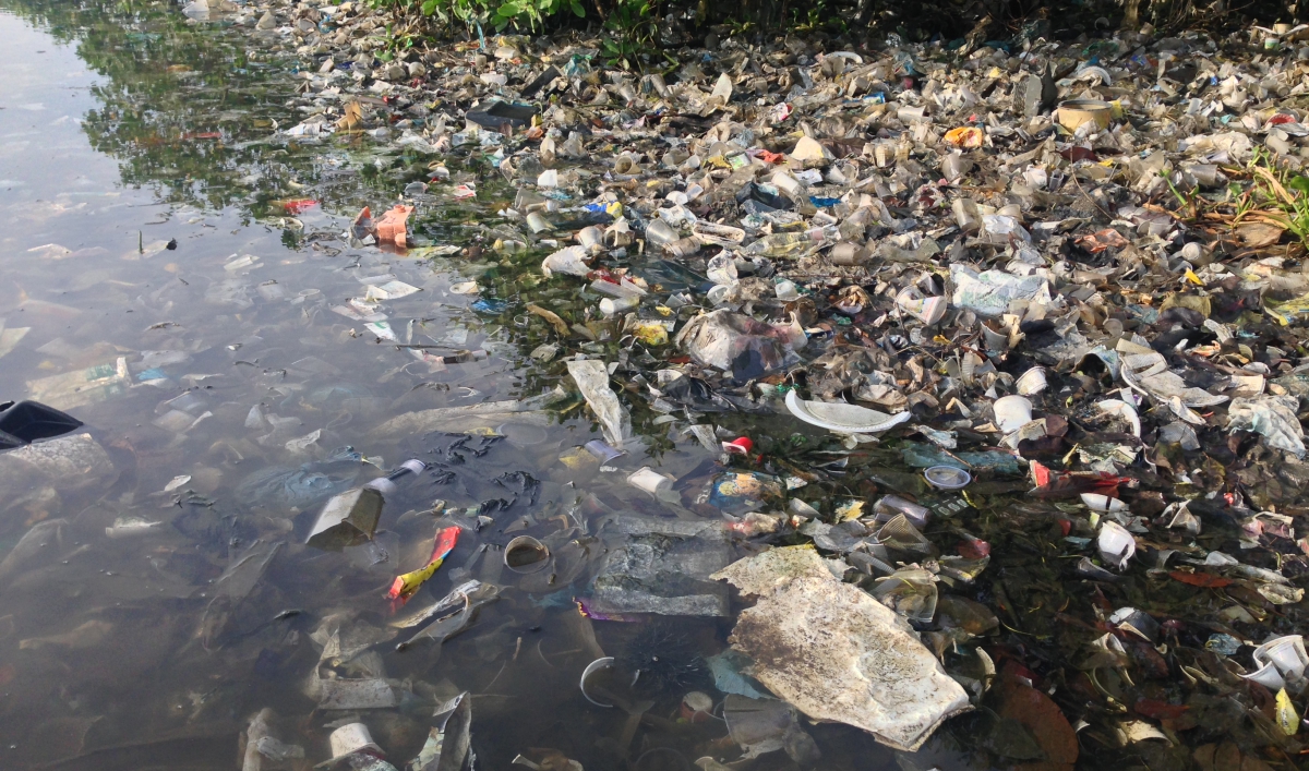 Pollution of water pollution in the Iguazu River, Brazil: Causes ...